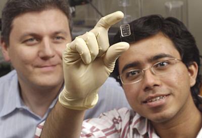 Microfluidic chip helps solve cellular mating | EurekAlert!