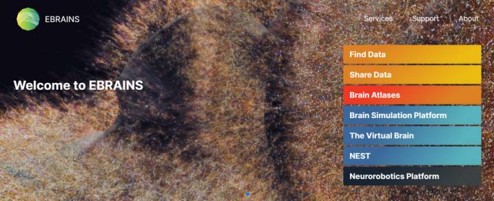 EBRAINS Online Portal [IMAGE] | EurekAlert! Science News Releases