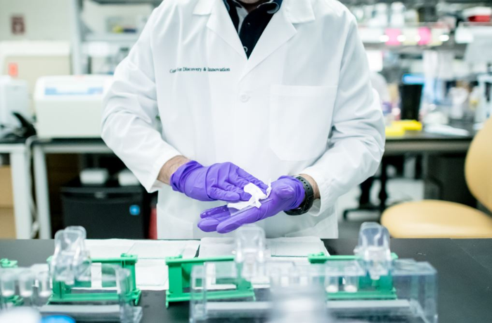 Ryu Lab research [IMAGE] | EurekAlert! Science News Releases