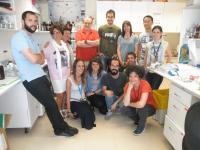 Useful markers to predict response to chemoth | EurekAlert!