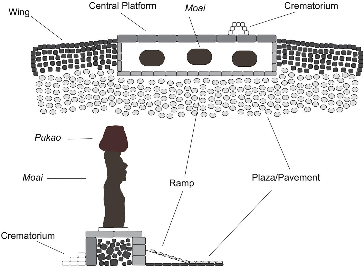 Model Schematic of a Platform [IMAGE] | EurekAlert! Science News Releases