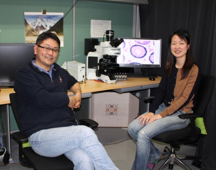 Shosei Yoshida and Kanako Ikam [IMAGE] | EurekAlert! Science News Releases