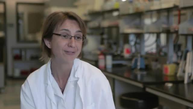 FRI Program -- Biofilms Stream | EurekAlert!