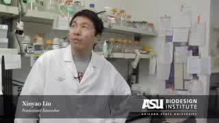 Microbes reprogrammed to ooze oil for renewab | EurekAlert!