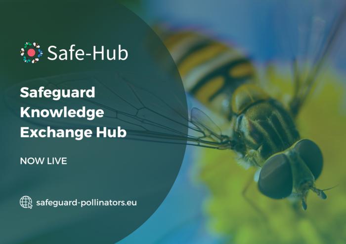 Safe-Hub: Safeguard Knowledge [IMAGE] | EurekAlert! Science News Releases