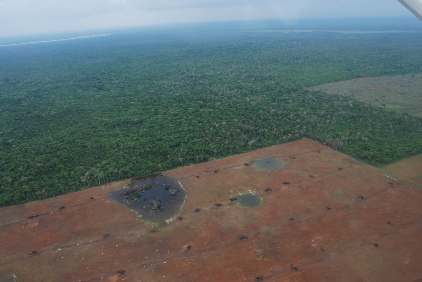 Deforestation in Belize [IMAGE] | EurekAlert! Science News Releases