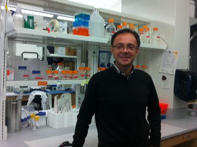 Alessandro Vindigni, Saint Lou [IMAGE] | EurekAlert! Science News Releases