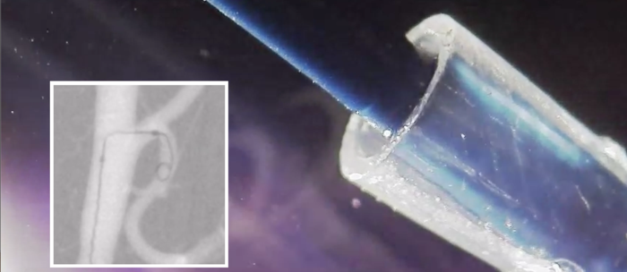 Bioinspired steerable catheter for brain surg | EurekAlert!