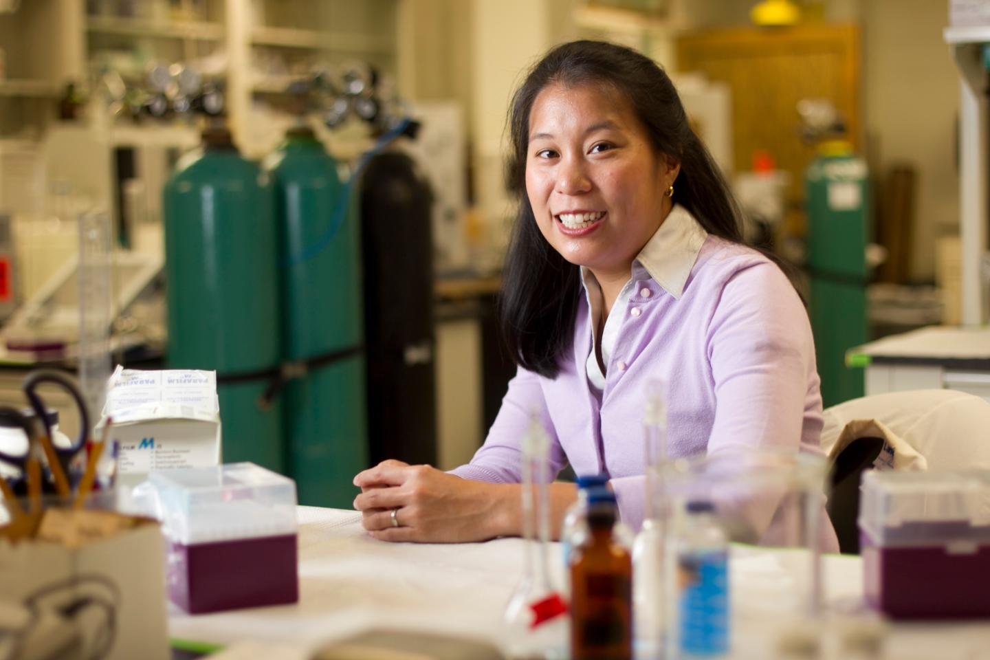 Heileen Hsu-Kim, Duke Universi [IMAGE] | EurekAlert! Science News Releases