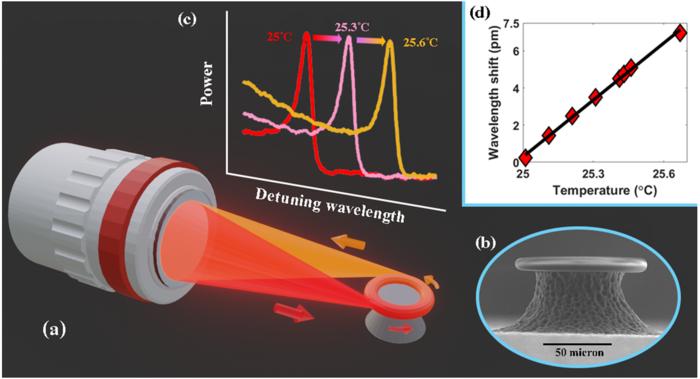 Ultra-high-Q free space coupling to microtoro | EurekAlert!