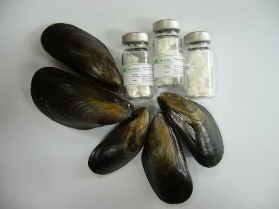 Mussel Proteins [IMAGE] | EurekAlert! Science News Releases
