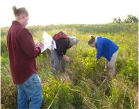 Isolated wetlands have significant impact on | EurekAlert!