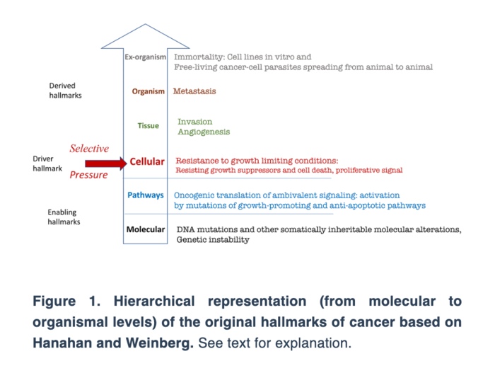 Aging-US: Hallmarks of cancer and hallmarks o | EurekAlert!