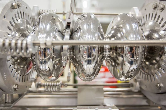 Particle accelerators may get a boost from ox | EurekAlert!