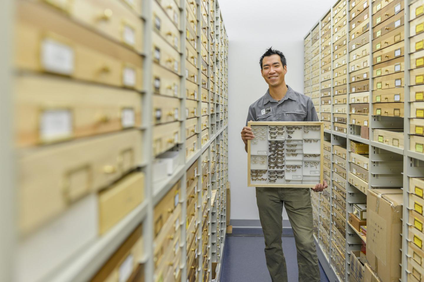 Akito Kawahara, Florida Museum [IMAGE] | EurekAlert! Science News Releases