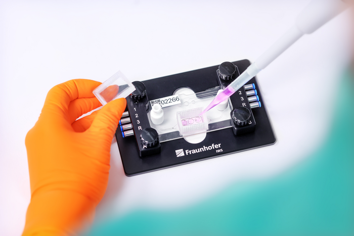 Microphysiological System [image] Eurekalert Science News Releases