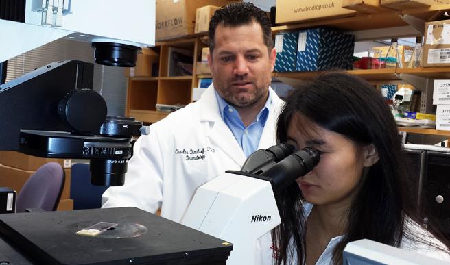 Charles J. Dimitroff, Brigham [IMAGE] | EurekAlert! Science News Releases