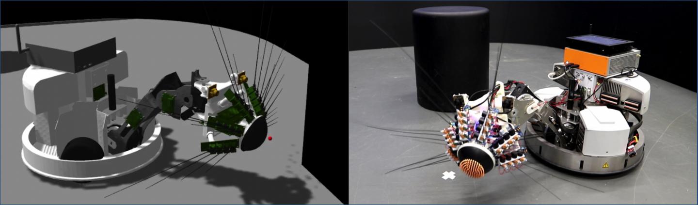 Whiskeye on the EBRAINS Neuror [IMAGE] | EurekAlert! Science News Releases