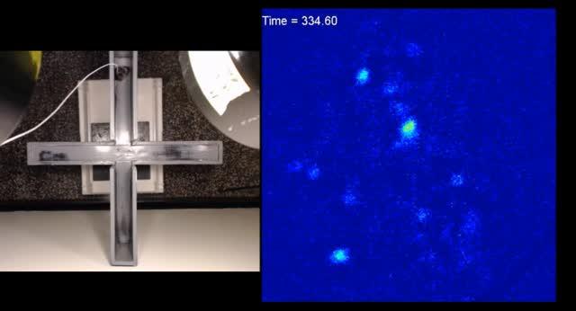 'Anxiety cells' identified in the brain's hip | EurekAlert!