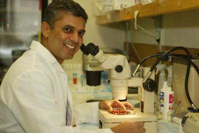 Rohit Kulkarni, M.D., Ph.D. [IMAGE] | EurekAlert! Science News Releases