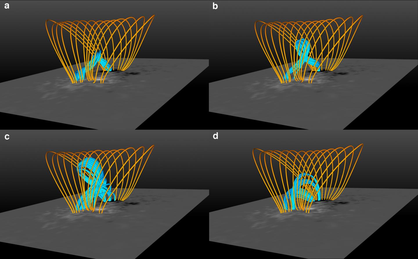 Rope Cage Model [IMAGE] | EurekAlert! Science News Releases