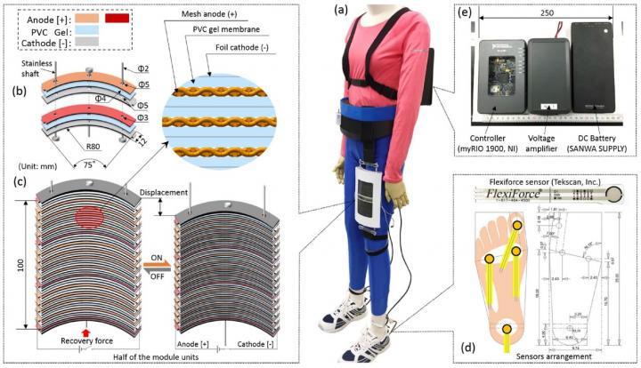 Overview of the Prototype of t [IMAGE] | EurekAlert! Science News Releases