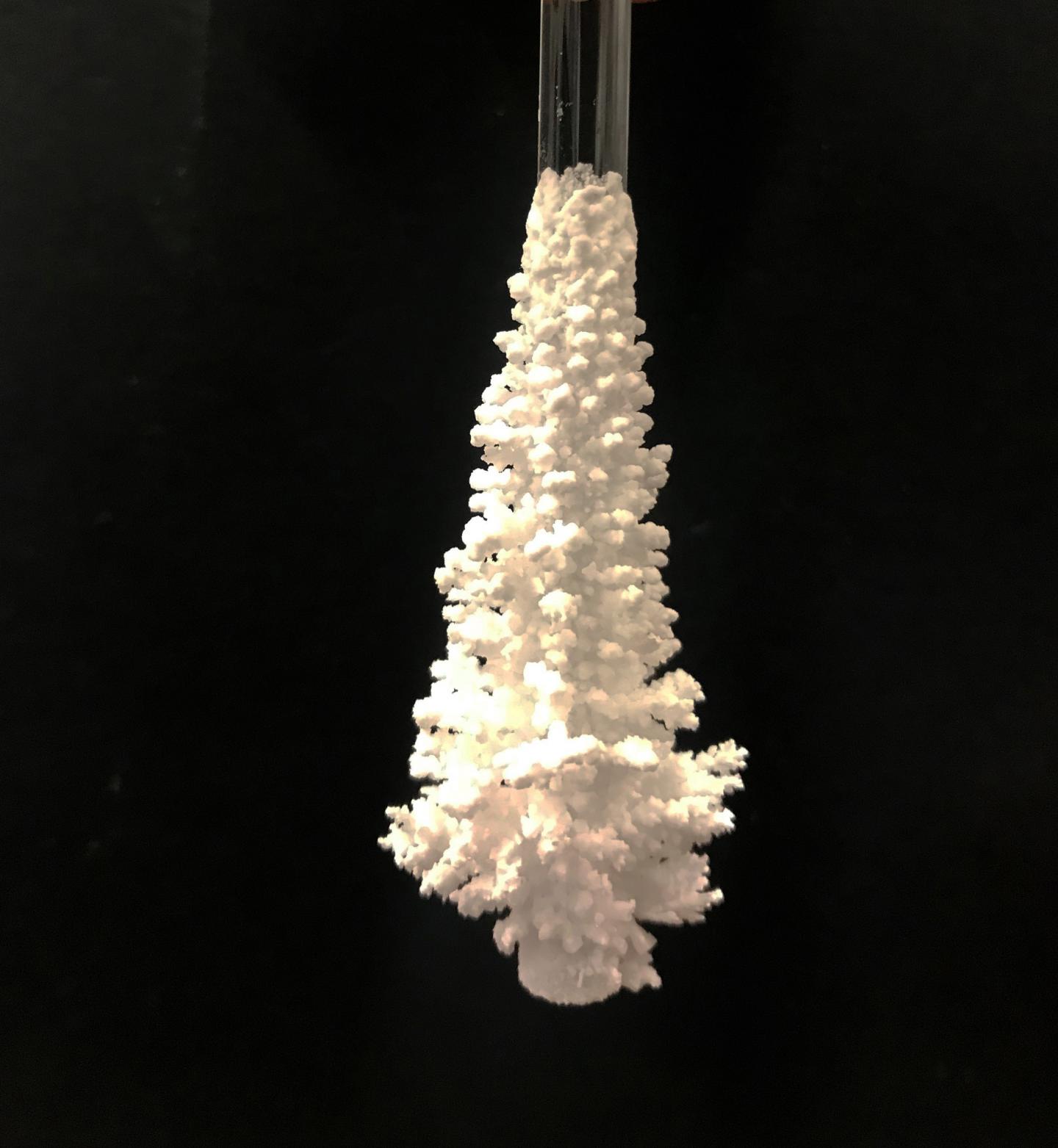 Destructive "Salt Creeping" Controlled with A | EurekAlert!