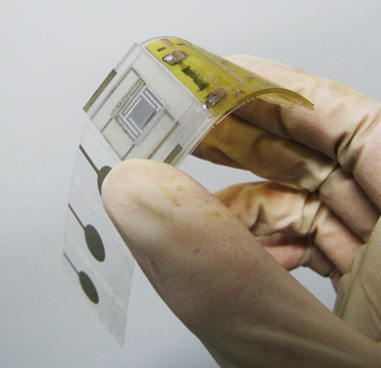 Printed Motion Sensor Advances Wearable Healt | EurekAlert!