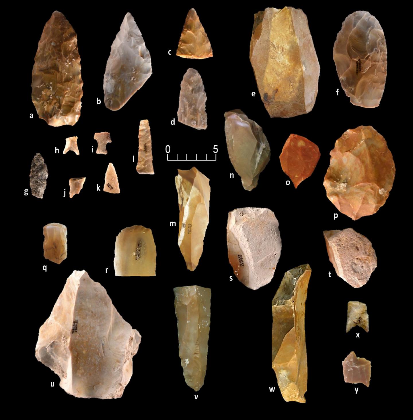 Distinctive Projectile Point T [IMAGE] | EurekAlert! Science News Releases
