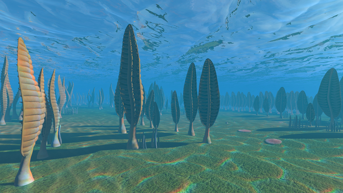 Ediacaran seabed [IMAGE] | EurekAlert! Science News Releases