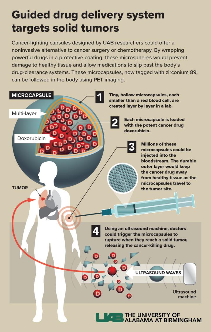 Guided-Drug-Delivery Microcaps [IMAGE] | EurekAlert! Science News Releases