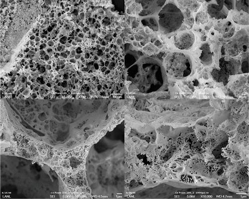 Scanning electron microscope [IMAGE] | EurekAlert! Science News Releases