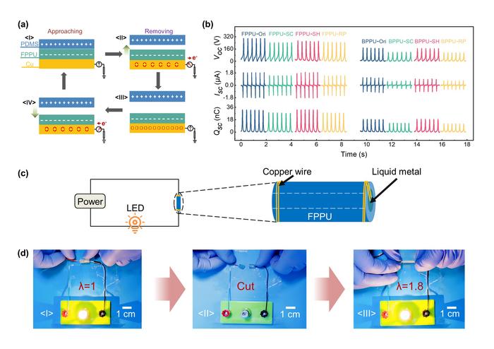 Electronic applications of FPP [IMAGE] | EurekAlert! Science News Releases