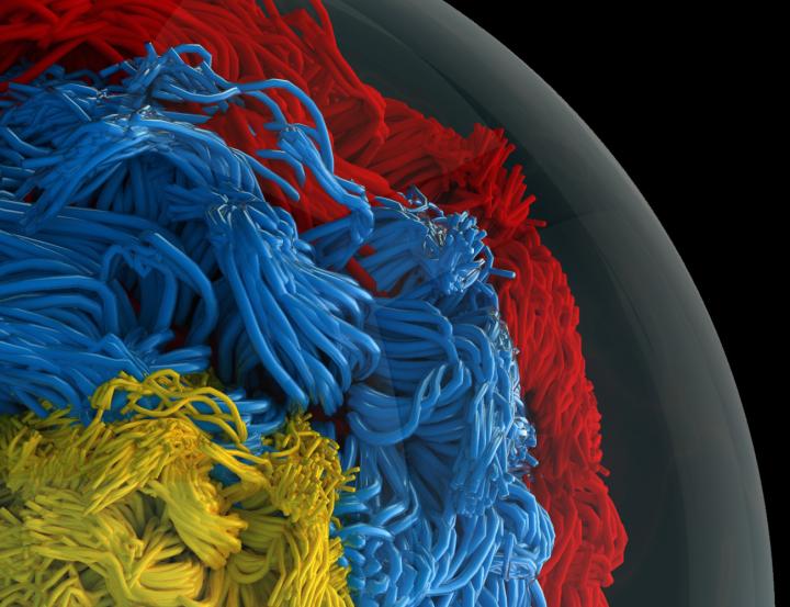 Engineered intrinsically disordered proteins | EurekAlert!