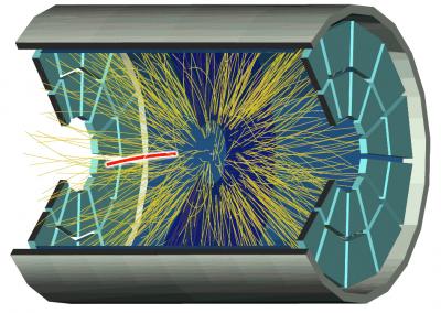 STAR Time Projection Chamber [IMAGE] | EurekAlert! Science News Releases