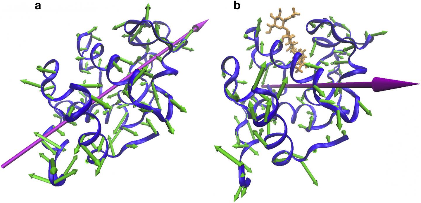 Dancing Proteins [IMAGE] | EurekAlert! Science News Releases