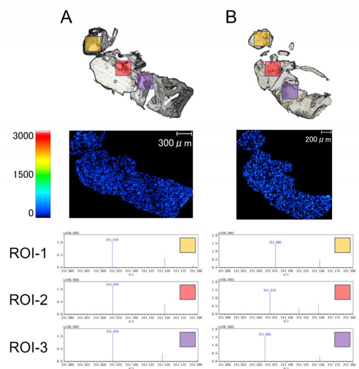 Mass Spectrometry Image [IMAGE] | EurekAlert! Science News Releases