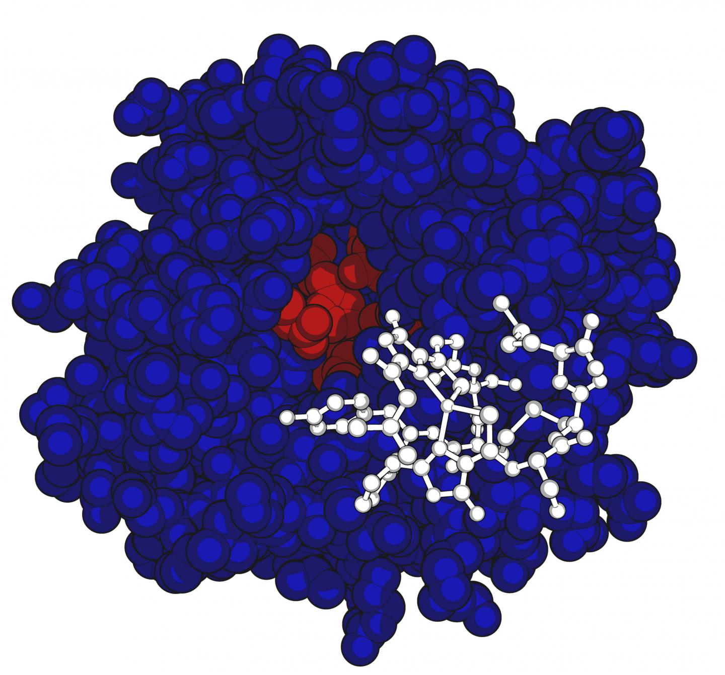 Methanobactin with MbnB Protei [IMAGE] | EurekAlert! Science News Releases