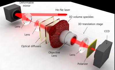 A new approach to 3-D holographic displays gr | EurekAlert!