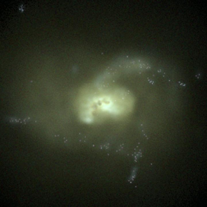 Green Galaxy [IMAGE] | EurekAlert! Science News Releases