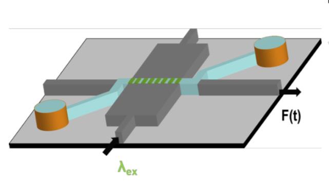 Optofluidic chip [IMAGE] | EurekAlert! Science News Releases