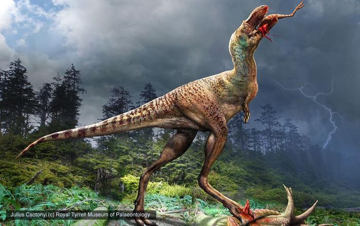 First discovery of a tyrannosaur skeleton wit | EurekAlert!