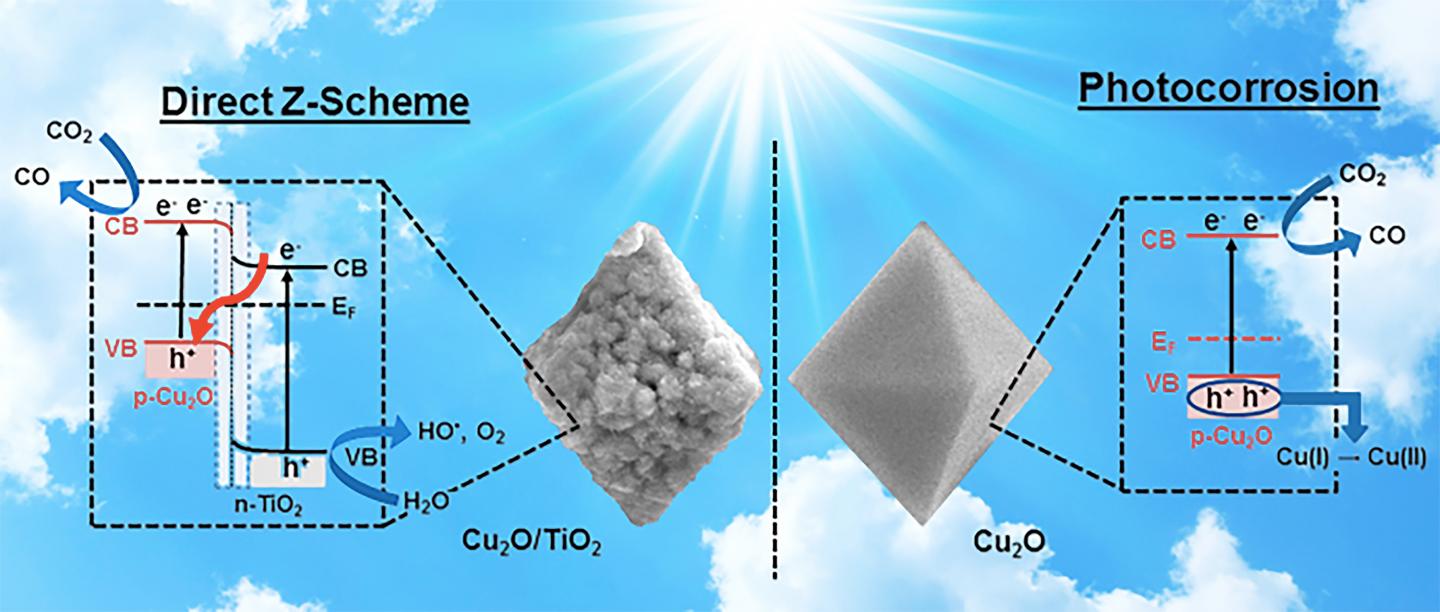 Z-Scheme Mechanism of Photosyn [IMAGE] | EurekAlert! Science News Releases