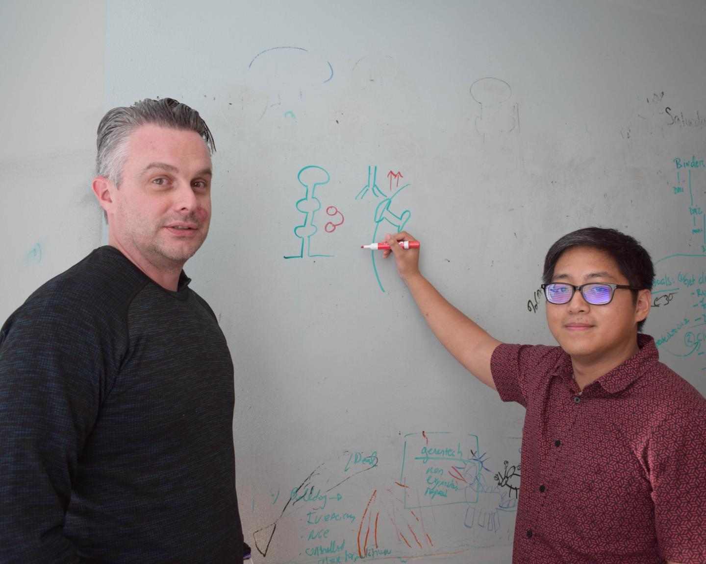 Targeting RNA to Vanquish Brea [IMAGE] | EurekAlert! Science News Releases