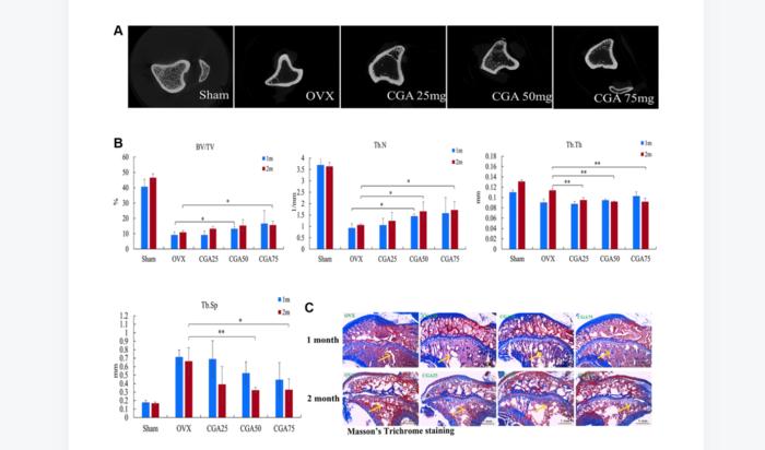 Figure 3 [IMAGE] | EurekAlert! Science News Releases