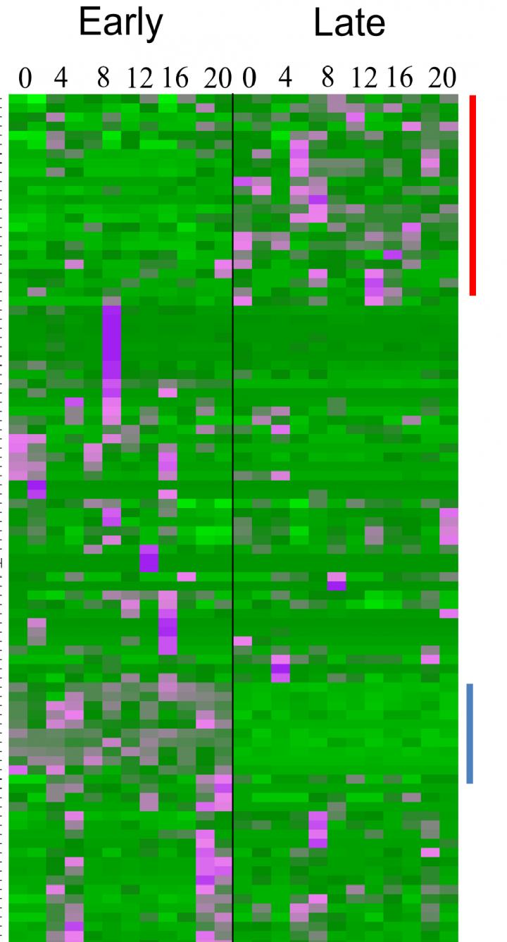 Color Plot [IMAGE] | EurekAlert! Science News Releases