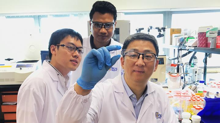 NUS Engineering Nano-Biopartic [IMAGE] | EurekAlert! Science News Releases