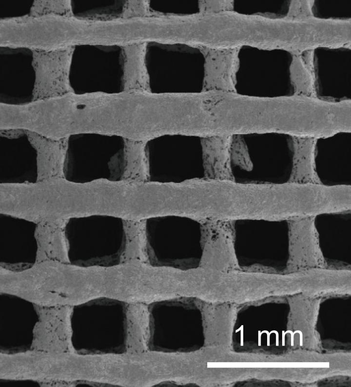 SEM of Lattice after Electrode [IMAGE] | EurekAlert! Science News Releases