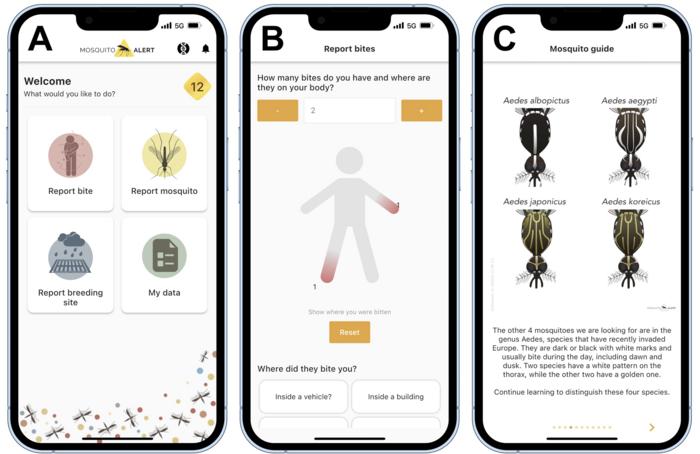 Example of how Mosquito Alert [IMAGE] | EurekAlert! Science News Releases