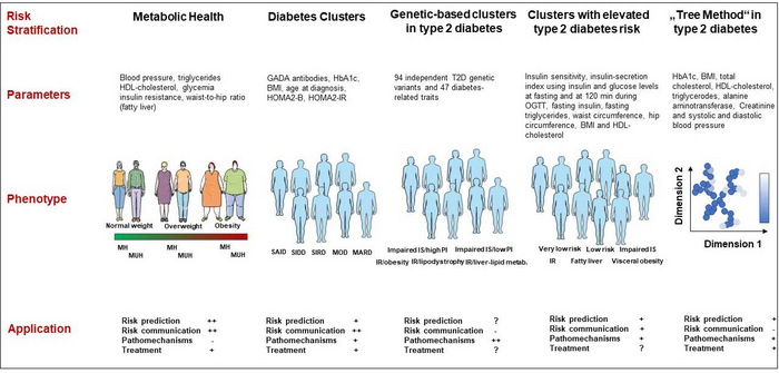 Metabolic health and cardiometabolic risk clu | EurekAlert!